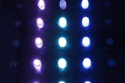 중국 IP68 0.3W 방수 5V 12mm 평면 단일 색상 LED 픽셀 LED 점광원 크리스마스 빛 공 색상 조명 판매용