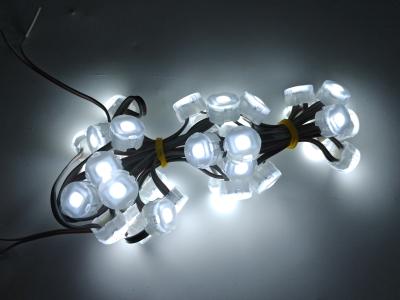 China Personalización IP67 20mm Inodoro Inteligente RGBW SPI LED Bajo el Techo Permanente Iluminación de Eave Control de la aplicación Iluminación de puntos de píxel remotos en venta