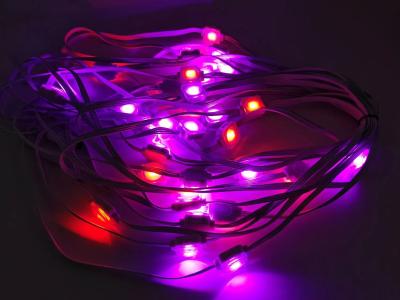 China IP67 resistente al agua colores RGBW control de voz inteligente LED permanente exterior luz de alero de puntas de cuerda 24V en venta
