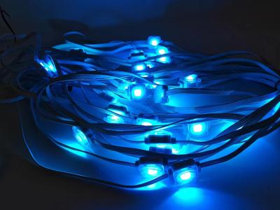 China Venta caliente Multi Color 24v RGBIC control remoto y wifi Controlador Luces de banda de píxeles LED luces de la ventana en venta