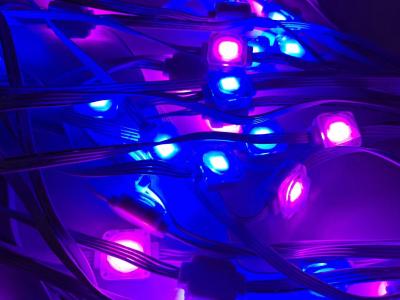 China Venta caliente Multi Color 24v RGBIC control remoto y wifi Controlador Luces de banda de píxeles LED luces de la ventana en venta