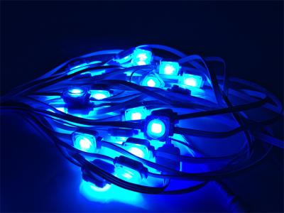 China Luces LED IP67 permanentes de 1W 20mm con respuesta en 24 horas Iluminación decorativa en venta