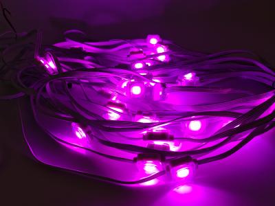 China Decorativo Inodoro Exterior Smart Pixel Led Puertas de luz RGB Controlador Permanente Iluminación de techo Luz de punto en venta