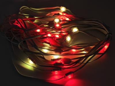 China Decorativo Inodoro Exterior Smart Pixel Led Puertas de luz RGB Controlador Permanente Iluminación de techo Luz de punto en venta
