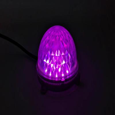 China Luz de punto de píxel LED impermeable para la decoración de parques temáticos Iluminación de fachada DC24V Voltagem en venta
