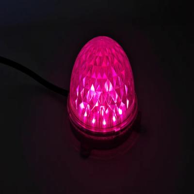 China Luz de punto de píxel LED impermeable para la decoración de parques temáticos Iluminación de fachada DC24V Voltagem en venta