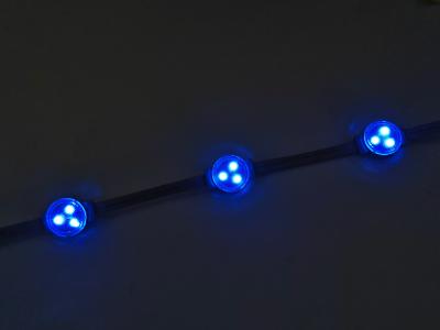 Cina Divertimento all'aperto Fiera Colore Completo Super Luminoso Personalizzato Decorazione Natalizia Casa Modulo Led Sorgente Luminosa Puntiforme Con Angolo di Visione 30mm 120° in vendita