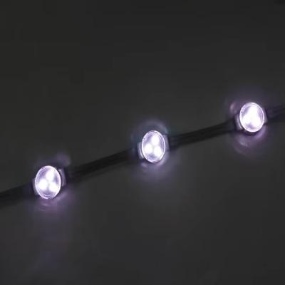 Cina Divertimento all'aperto Fiera Colore Completo Super Luminoso Personalizzato Decorazione Natalizia Casa Modulo Led Sorgente Luminosa Puntiforme Con Angolo di Visione 30mm 120° in vendita