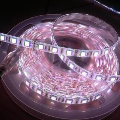 China Tira de Luces LED 5050 12V Diseño de Placa Desnuda Ahorro de Energía Luz Flexible para Señalización y Proyectos Lineales en venta