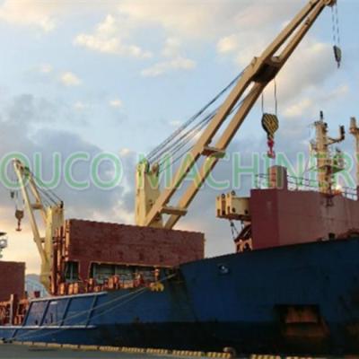 Cina carico Marine Deck Cranes trifase di 20t 30m in vendita