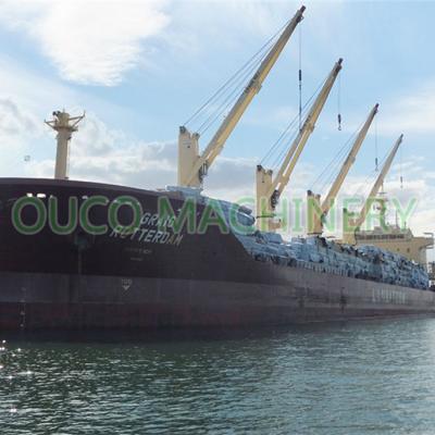 Cina carico Marine Deck Cranes trifase di 20t 30m in vendita