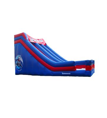 China Children Fun Park Inflatable Blue Color Slide For Rentals for sale