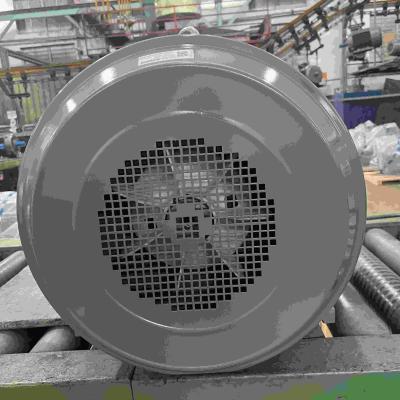 Cina Motore elettrico di alto potere protetto contro le esplosioni per i vapori pericolosi IE3 IE4 IE5 in vendita