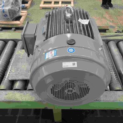 Cina Un motore asincrono elettrico di 3 fasi di alta efficienza di acciaio al carbonio in vendita
