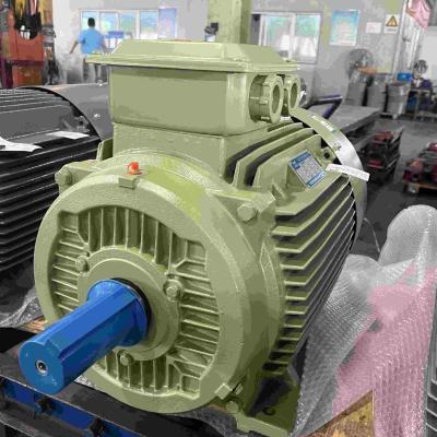 Cina Motori elettrici di alta efficienza della struttura semplice per il macchinario di trasporto in vendita