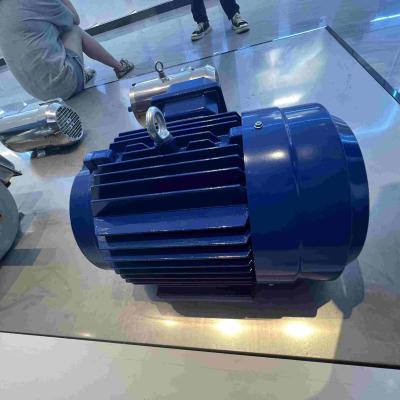Cina Il CA 50Hz ha personalizzato i motori elettrici di alta efficienza di tensione per le macchine utensili in vendita