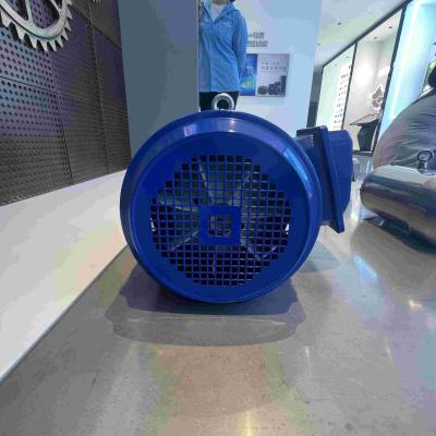 Cina Motori elettrici efficienti di Carbon Steel High del modello YE3 per le pompe in vendita