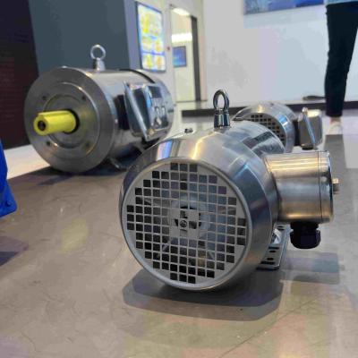 Cina Motore asincrono elettrico di CA di induzione trifase premio di alta efficienza in vendita