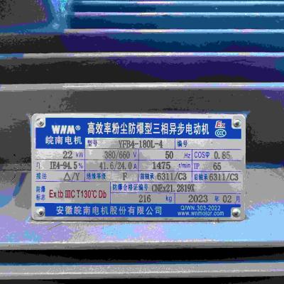 Cina Motore elettrico trifase di alta efficienza di 6KV IE3 per il macchinario di trasporto in vendita