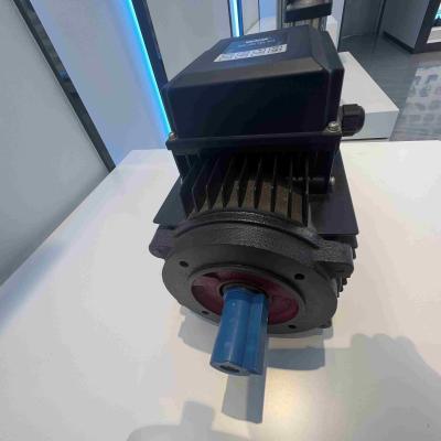 Cina Alto efficiente elettrico trifase ad alta tensione dei motori 6KV in vendita