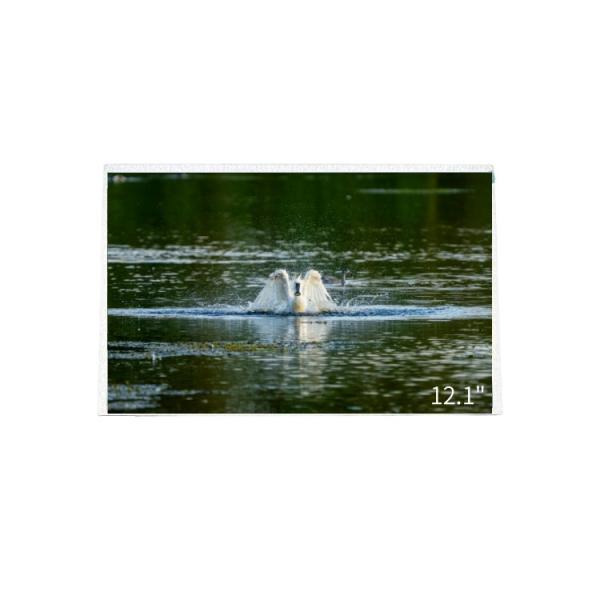 Quality 12.1 Inch TFT LCD Display Panel 500nits LVDS LCD Display 1280x800 Resolution for sale
