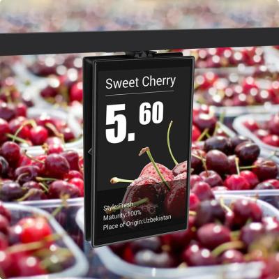 China 10Pantalla LCD TFT a todo color de.1 pulgadas para etiqueta electrónica de estante con alta resolución y WIFI en venta