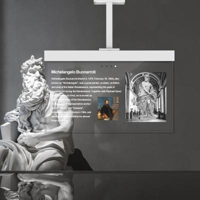 중국 55인치 OLED 투명한 화면-박힌 모델 1920*1080 해상도 400 니트 OLED 투명한 OLED 패널 판매용