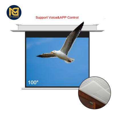 Cina Hot Selling Electric Projection Screen MGF 100