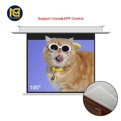 Cina Projection Screen Electric MGF 4k 100inch Motorized Home Theater Movie Screen Projector Projector Screen in vendita