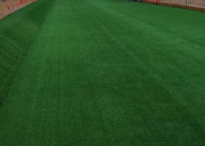 China 45mm Kunstmatig Vals het Graslandschap van 12 X12 voor Front Yard Te koop