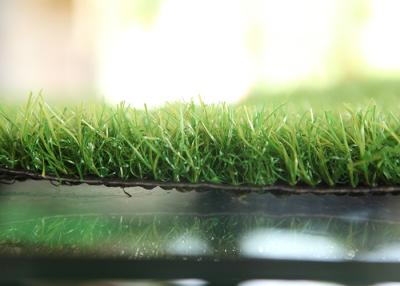 Κίνα Φιλικό 12mm τεχνητό πλαστό πεζούλι χλόης Eco 3 μέτρο ευρύ για τη διακόσμηση τοίχων προς πώληση