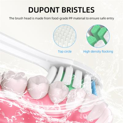5 Modes Dupont Bristle Adult Sonic Toothbrush Wireless Electric Toothbrush BS63