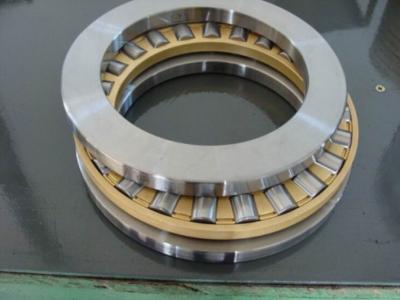 Cina Gabbia cilindrica dell'ottone del cuscinetto a rulli 81136M di spinta in vendita
