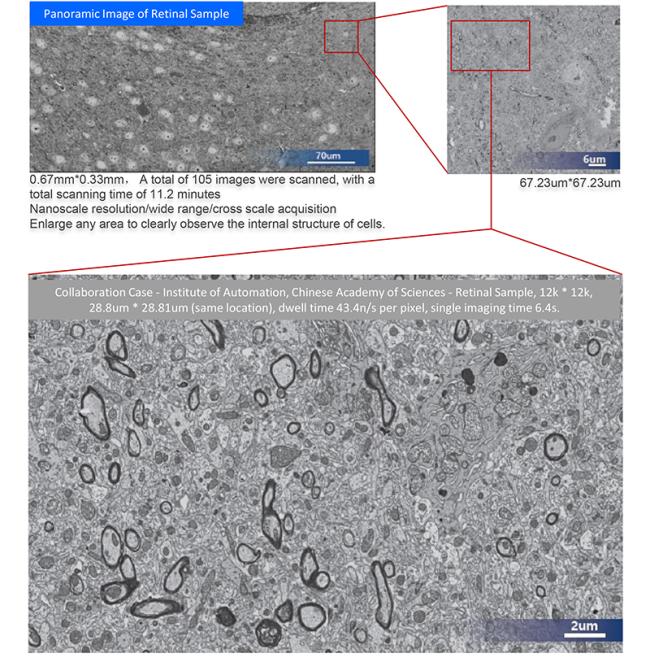 Sample preparation method