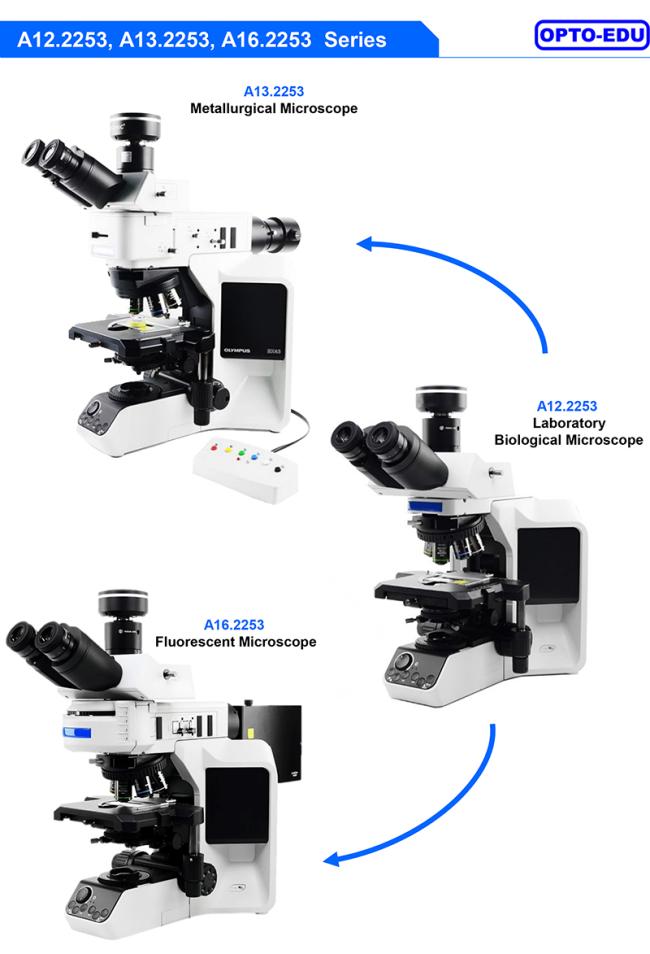 Microscope side view