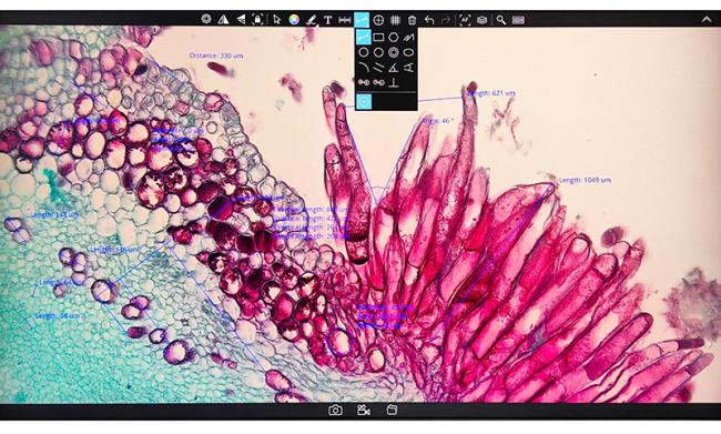 Microscope measurement tools interface