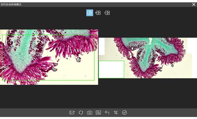 Digital microscope camera image stitching interface