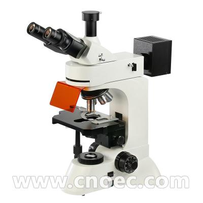 Cina Microscopio di fluorescenza di piano di infinito di Trinocular 40x - 1000x A16.0207 in vendita