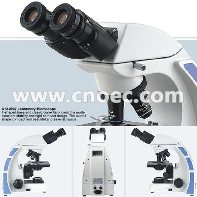 중국 실험실 영상 디지털 방식으로 광학적인 현미경 1000X A31.0907-A 판매용