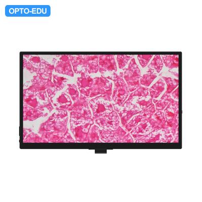 China OPTO EDU A59.2264 13.3" LCD Digital Camera HDMI Mouse Measure USB3.0 WIFI 8.0M 4K for sale