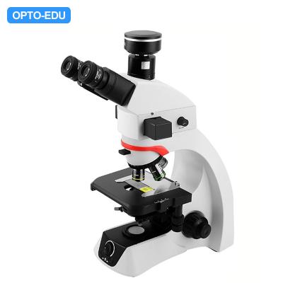 China OPTO EDU A16.2263 BGUV Biological Laboratory Trinocular Fluorescent Microscope for sale