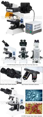 China Trinocular / Binocular Fluorescence Microscope For Laboratory A16.0906 for sale