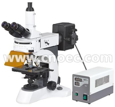 Cina 40x - 1000x Epi - microscopio di fluorescenza Trinocular A16.1028 in vendita