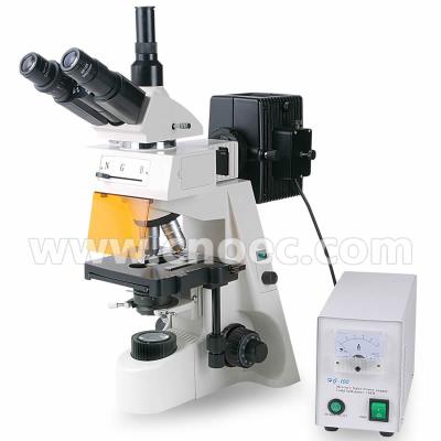 China Compensation Free Fluorescence Microscope For Learning A16.1103 for sale