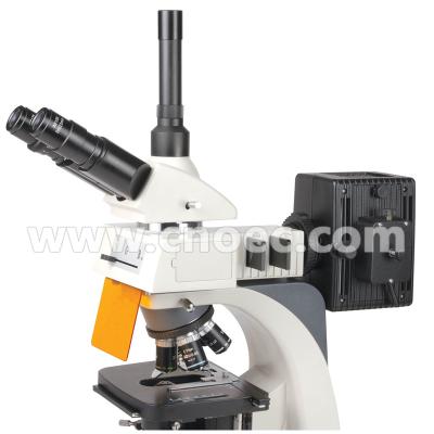 China Compensation Free Fluorescence Microscope For Learning A16.1103 for sale