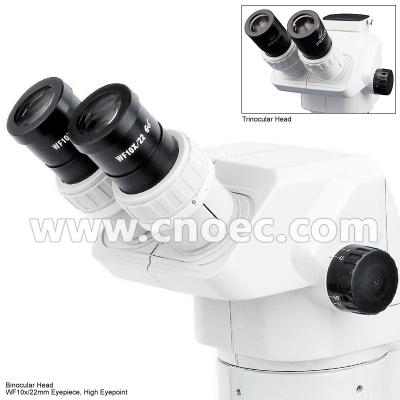 China Mikroskop A23.0902-S1 des Klinik-optisches Stereomikroskop-Stereolauten summens zu verkaufen
