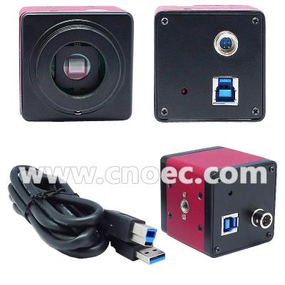Cina Accessori ottimistici del microscopio della macchina fotografica del microscopio di USB Digital, CE Rohs A59.4206 in vendita