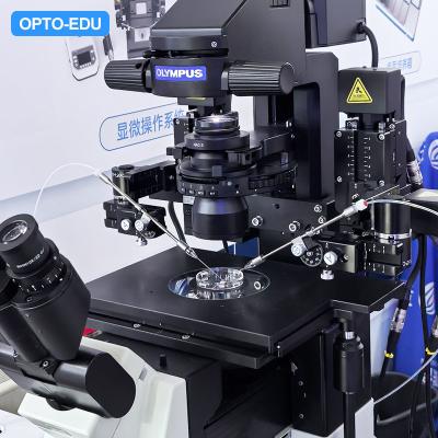 Cina OPTO-EDU A54.0720 Micromanipulatore per microscopio inverso in vendita
