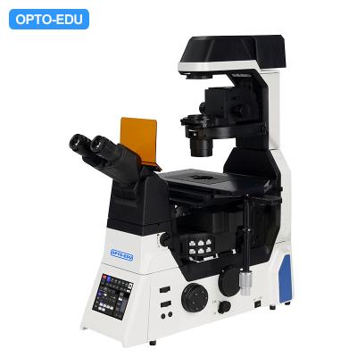 China OPTO EDU A16.1099 Full Auto Semi-APO Inverted Fluorescent Microscope for sale