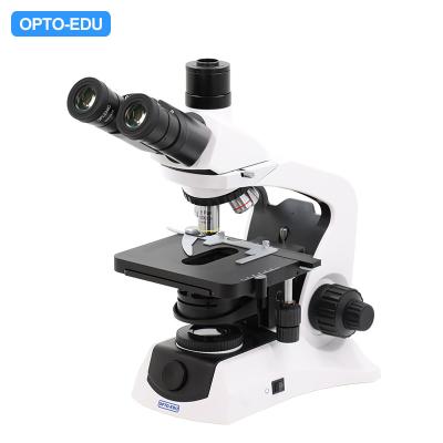 China OPTO-EDU A12.3630 1000x Trinocular Biological Microscope for sale